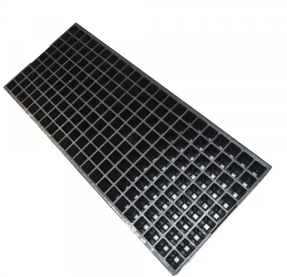 Buy 198-Cell Tray Plants | Free Shipping Over $150
