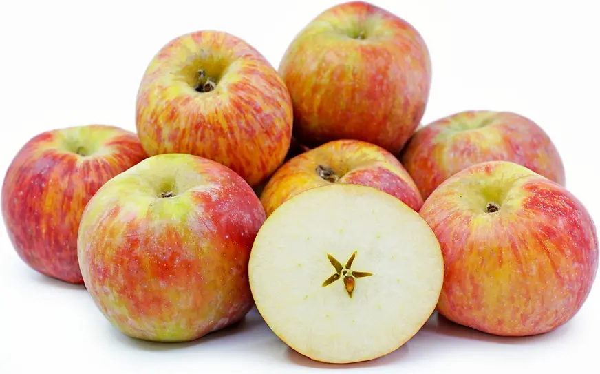 Buy Apple Red Gravenstein Plants | Free Shipping Over $150