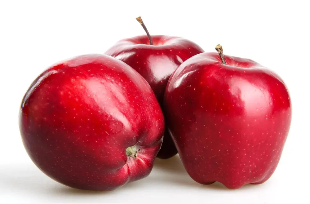Buy Apple Harold Red Delicious Plants | Free Shipping Over $150