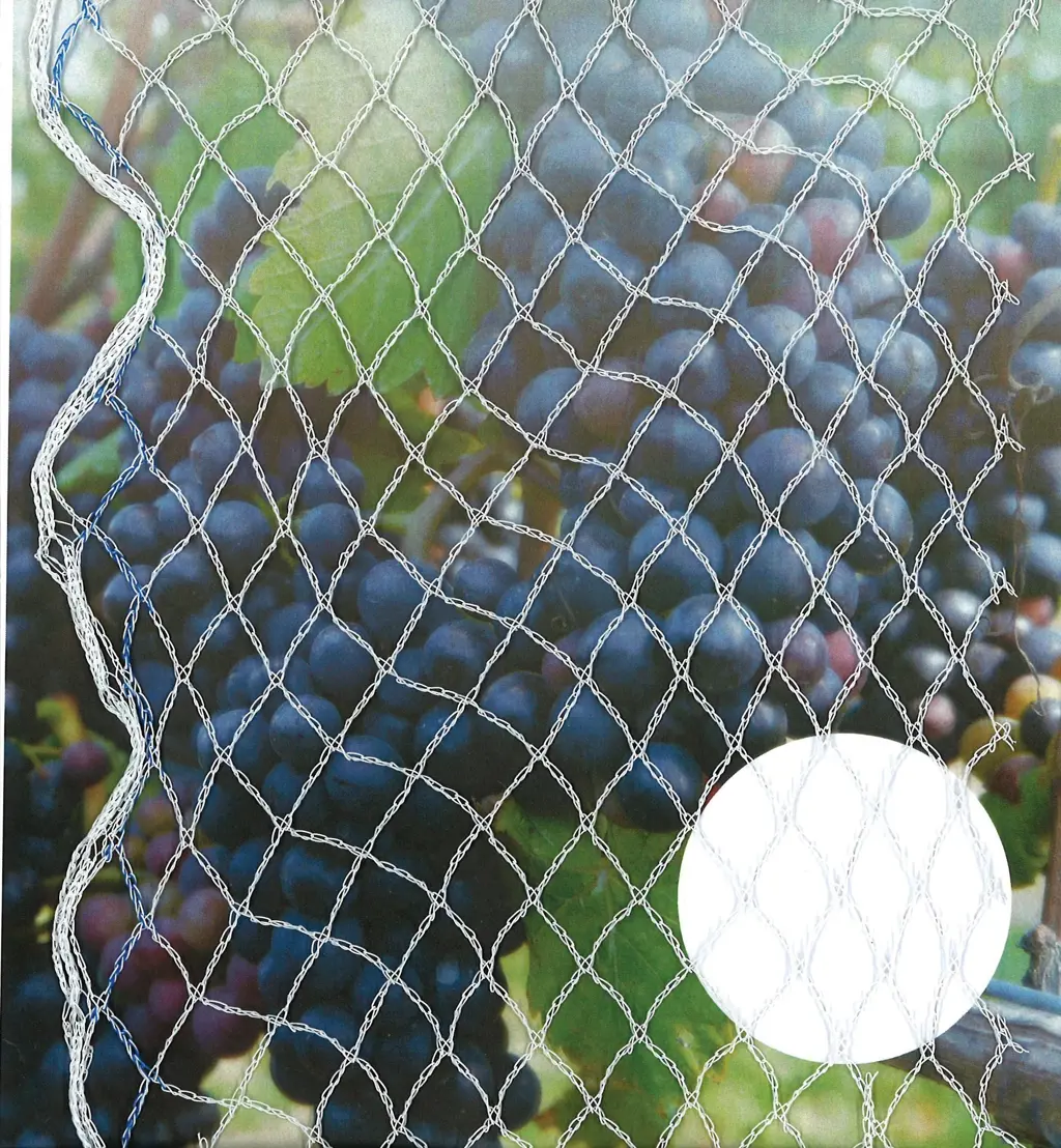 Buy Bird netting - 4 m x 50 m roll Plants