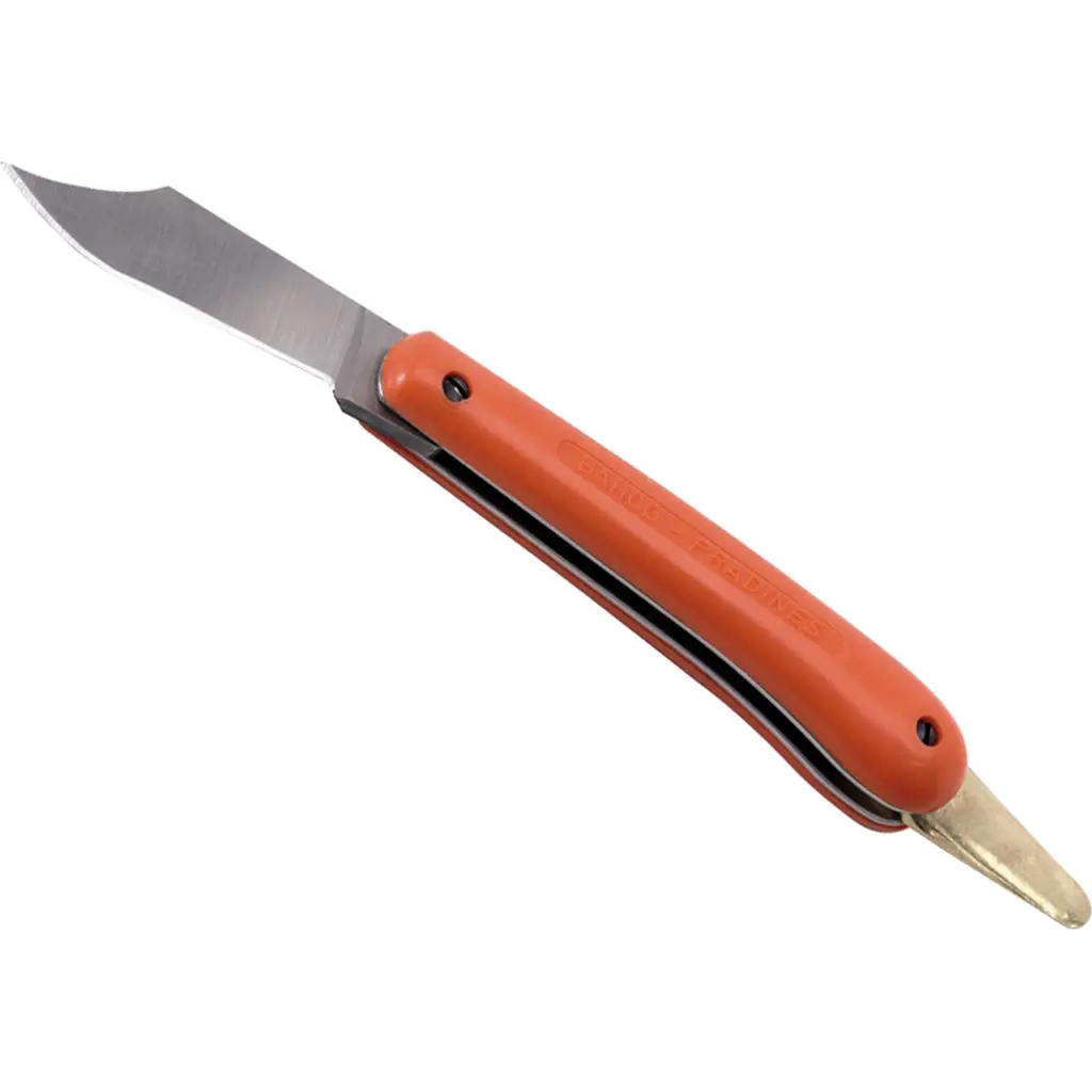 Buy Budding Knife Plants | Free Shipping Over $150
