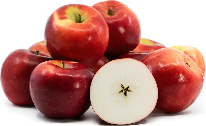 Buy Apple Cortland Plants | Free Shipping Over $150