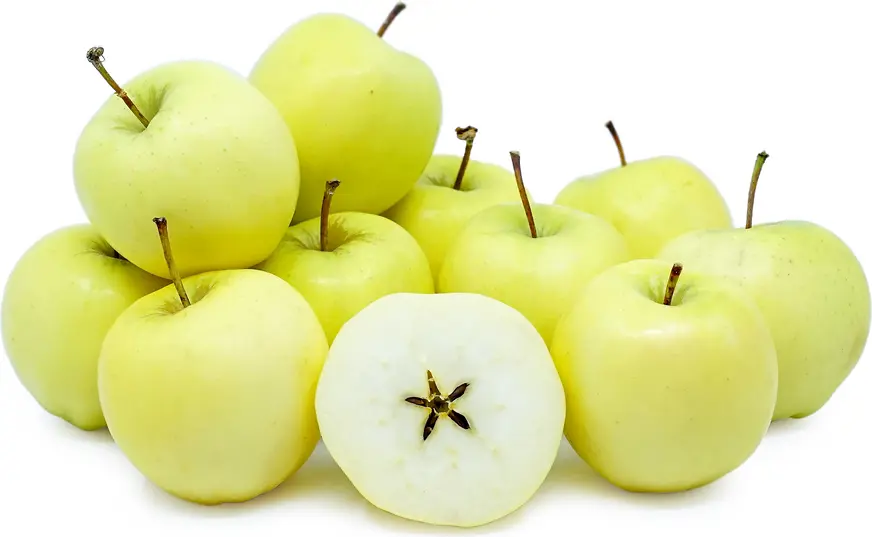 Buy Apple Ginger Gold Plants | Free Shipping Over $150