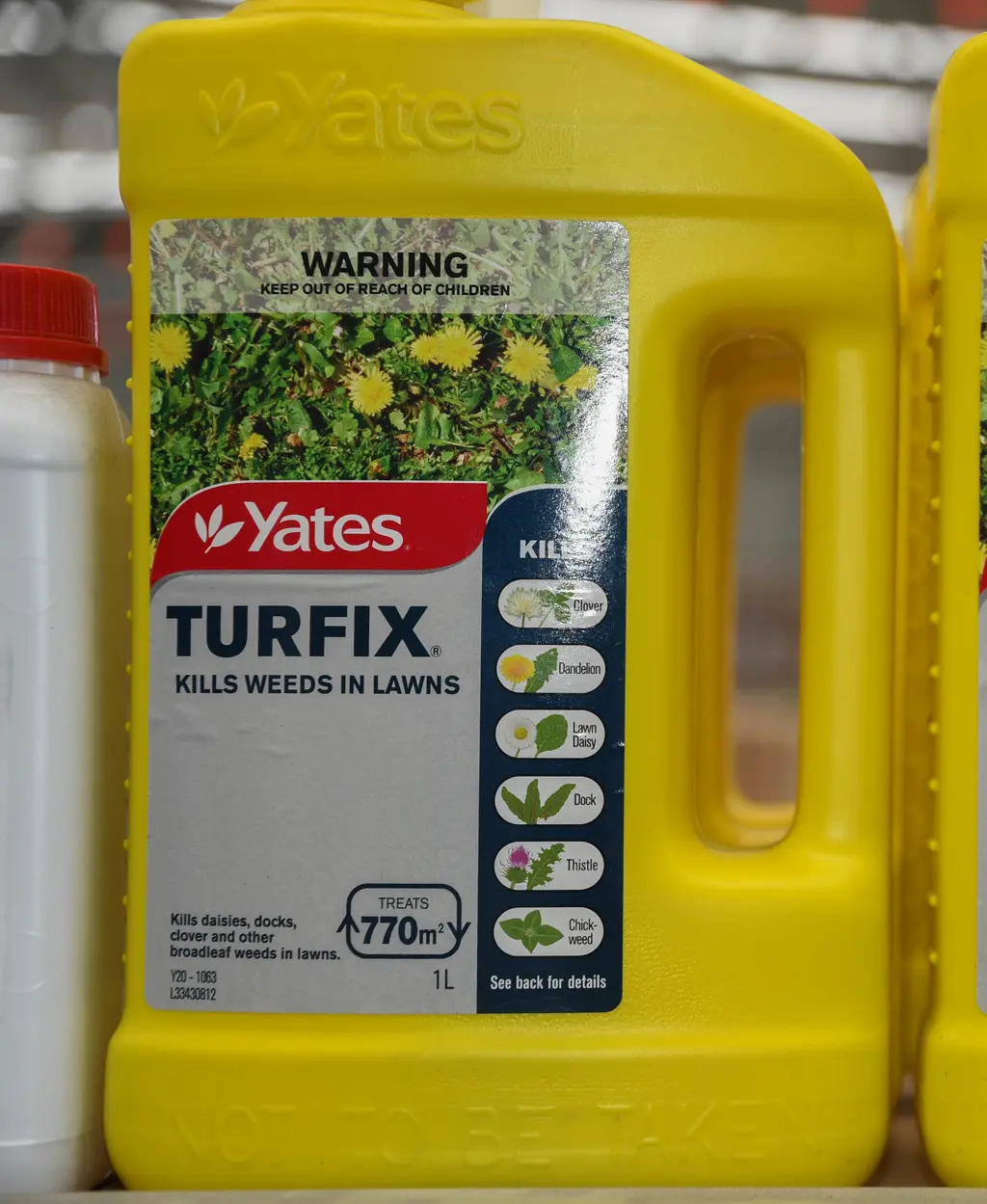 Buy TURFIX Plants | Free Shipping Over $150