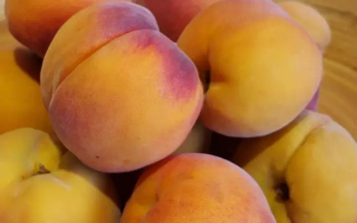 Buy Peacherine Healys Plants | Free Shipping Over $150