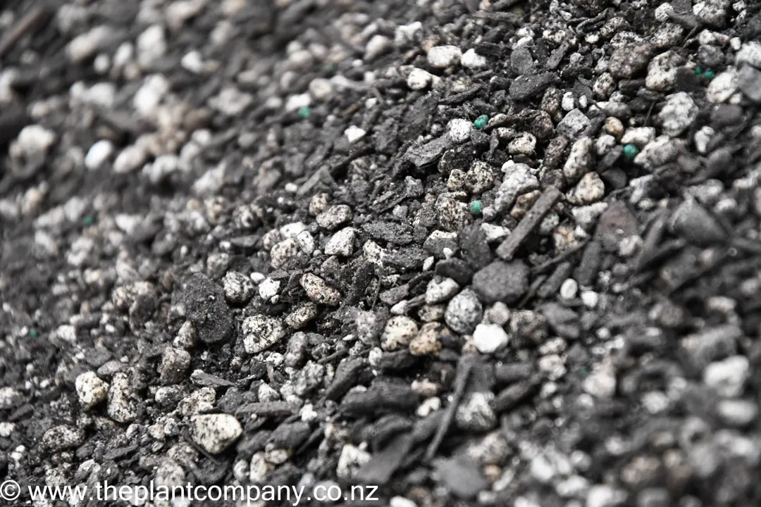 Buy Nursery Grade Growing Media Plants | Free Shipping Over $150