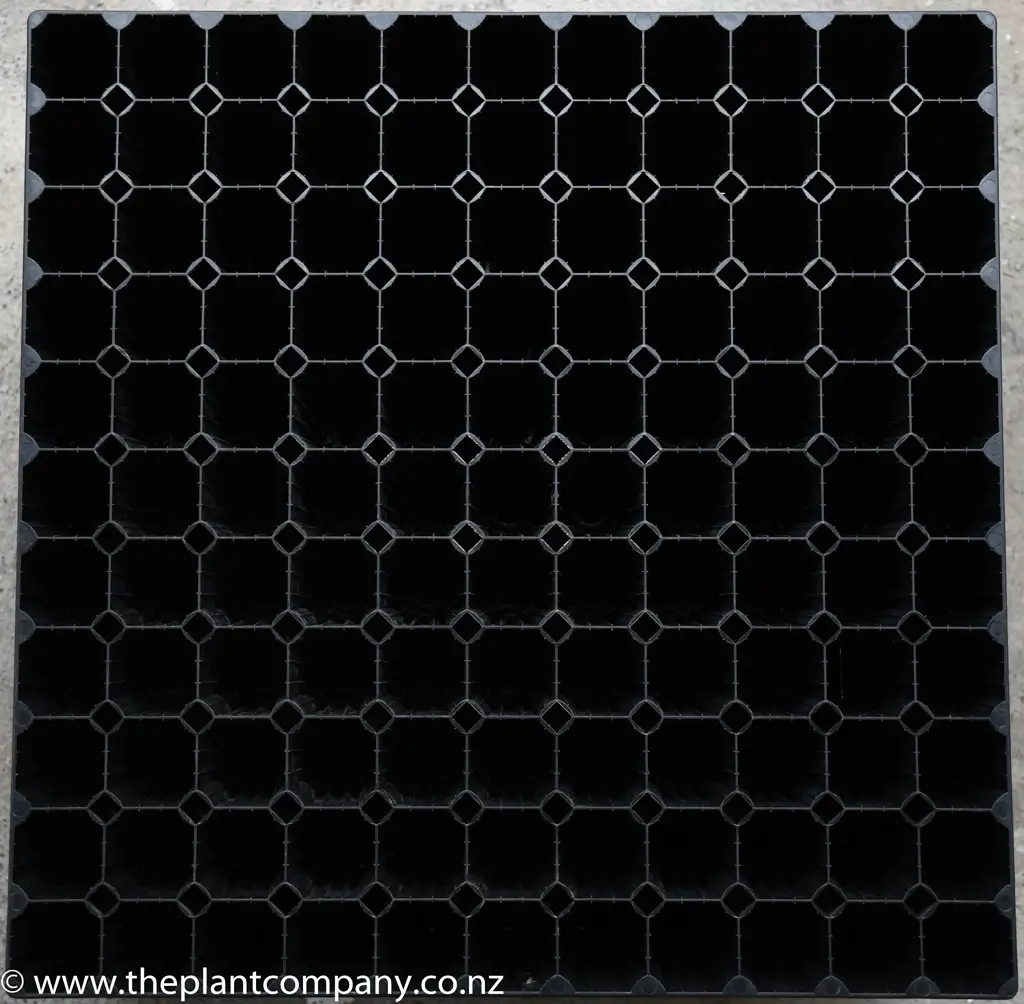 Buy 121-Cell Tray Plants | Free Shipping Over $150