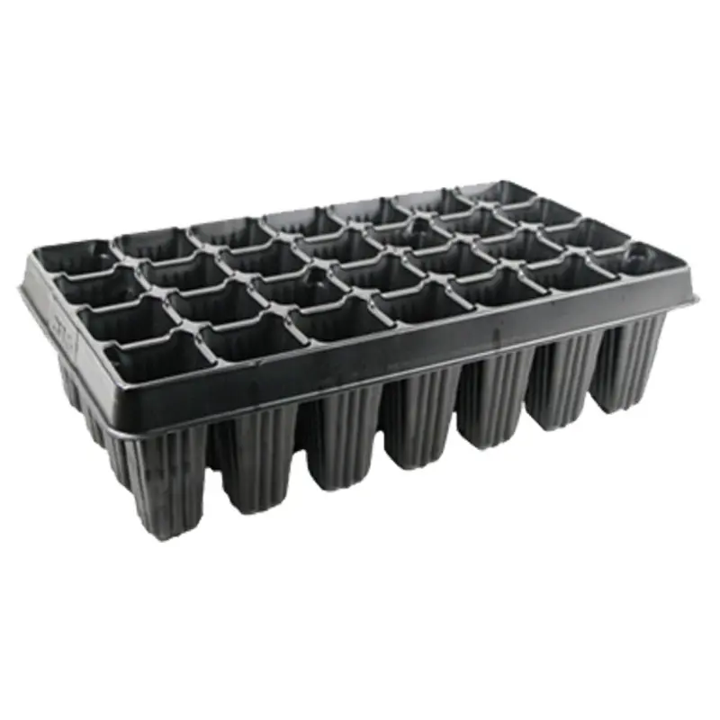 Buy Deep Square 28-Cell Tray Plants | Free Shipping Over $150