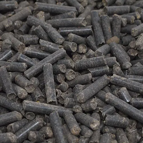 Buy Sheep Pellets Plants | Free Shipping Over $150
