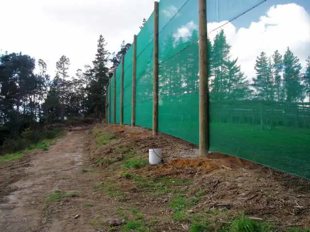 Buy Windbreak - 70% Plants | Free Shipping Over $150